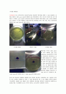 [미생물학실험] 미생물 배양실험 및 피부미생물종류-1페이지