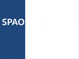 SPAO 스파오 마케팅사례조사및 마케팅 전략제안-1페이지