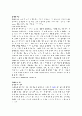 스페인의 문화와 예술 - 플라멩코에 대해서-1페이지