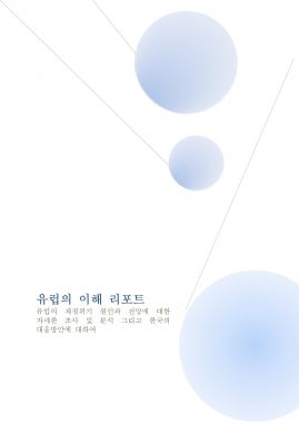 [유럽의 이해] 유럽의 재정위기 원인과 전망에 대한 자세한 조사 및 분석 그리고 한국의 대응방안-1페이지