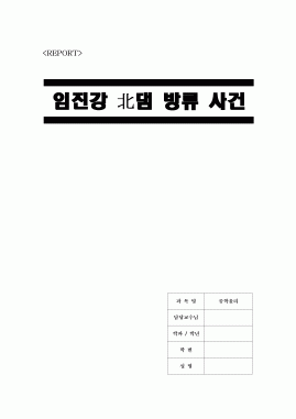 [공학윤리사례] 임진강 北댐 방류 사건 - 사건의 문제점, 사건의 기술적오류, 윤리적오류, 조사 후 느낀 점, 수자원공사, 수위변화, 홍수조절지도, 재난방지대책, 재난방어체재-1페이지