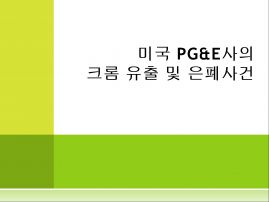 [공학윤리사례] PG&E사 크롬유출 및 은폐사건 - 에린 브로크비치, PG&E사의 공학기술 윤리적인 문제점, 기업윤리의 중요성, 폐기물처리, 폐수처리 사례, 크롬이 체내에미치는 영향.ppt-1페이지