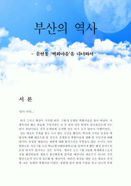 부산의역사 - 문현동 ‘벽화마을’을 다녀와서-1페이지