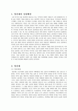 조선시대 신분제 양천제에 대해서-1페이지