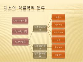 [채소 원예총론] 식물 형태학적 분류.ppt-1페이지