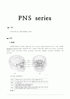 [일반 촬영] 방사선과 - PNS[부비동] 촬영법-1페이지