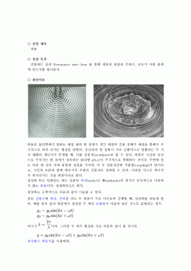 물리실험보고서 - 파동의 파장과 주파수, 속도와의 관계-1페이지