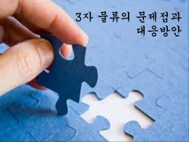 [경영,경제] 3자 물류의 문제점과 대응방안-1페이지