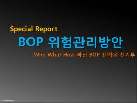 BOP 위험관리방안 - Who What How 빠진 BOP 전략은 신기루 (BOP전략에 대한 쟁점 옹호적측면 비판적측면).ppt-1페이지