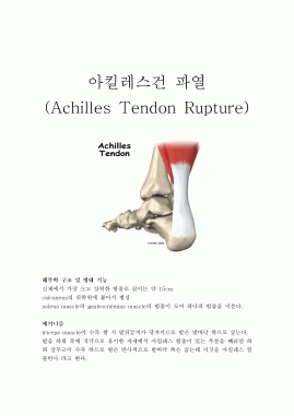 축구선수의 아킬레스건의 전반전인 이해 및 손상,치료 재활-1페이지