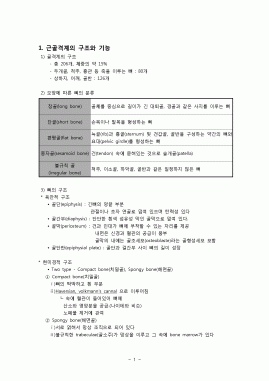 [성인간호학] 근골격계의 구조와 기능, 관절과 인대, 골격근에 관해서-1페이지