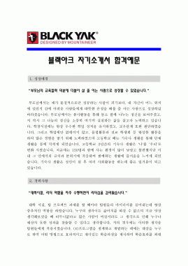 [블랙야크자기소개서] 2013 블랙야크자기소개서 합격예문과 면접기출문제 - 성장배경, 경력사항, 지원동기, 입사 후 포부-1페이지