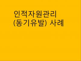 A+  인적자원관리 기업경영 동기부여의 성공사례  -1페이지