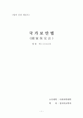 국가보안법 박원순 국가보안법 존폐 국제인권조약 국가인권위원회법 법과 인권 정치외교학과 한양대학교-1페이지