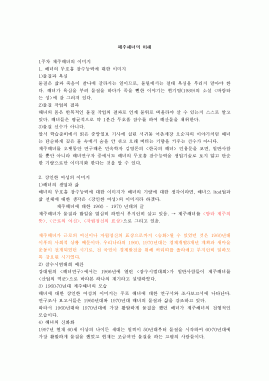 제주해녀의 이해 (1주차~14주차)-1페이지