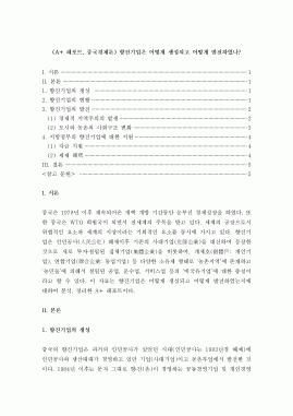 [중국경제론] 향진기업은 어떻게 생성되고 어떻게 발전하였나?-1페이지