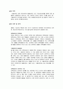 양파구강상피세포관찰250-1페이지