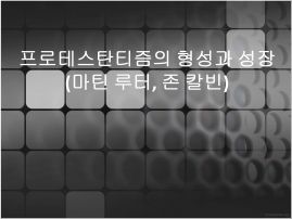 [프로테스탄티즘의 형성과 성장] 마틴루터와 존 칼빈의 생애, 사상, 신앙관의 분석, 가톨릭 종교개혁, 트렌트 회의.ppt-1페이지