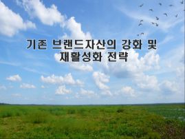 [브랜드 활성화 방안] 기존 브랜드자산의 강화 및 재활성화 전략.PPT자료-1페이지