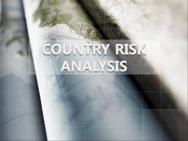 COUNTRY RISK ANALYSIS (카자흐스탄(KAZAKHSTAN), 우즈베키스탄(UZBEKISTATN), 아프가니스탄(AFGHANISTAN)).PPT자료-1페이지