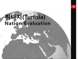 튀니지(Tunisia) Nation Evaluation.PPT자료-1페이지