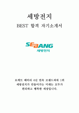 세방전지 최신 BEST 합격 자기소개서!!!!-1페이지