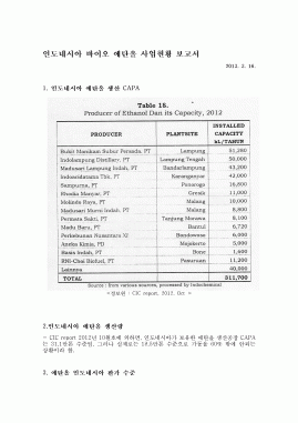 인도네시아 바이오에탄올 사업-1페이지