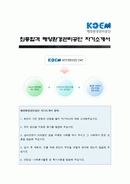 [2013해양환경관리공단자기소개서] 해양환경관리공단청년인턴자기소개서 합격예문+면접족보_해양환경관리공단자기소개서예문_해양환경관리공단자기소개서샘플_해양환경관리공단자소서-1페이지