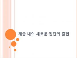 계급내의새로운집단,마케팅,브랜드,브랜드마케팅,기업,서비스마케팅,글로벌,경영,시장,사례,swot,stp,4p-1페이지