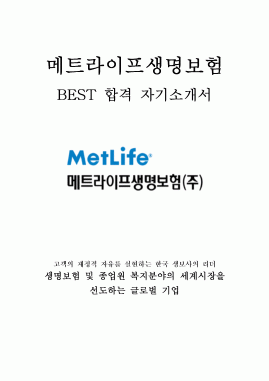 메트라이프생명보험 최신 BEST 합격 자기소개서!!!!-1페이지
