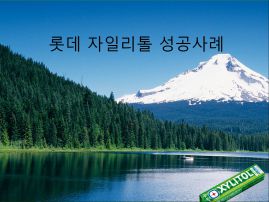 자일리톨,성공사례,마케팅사례,마케팅,브랜드,브랜드마케팅,기업,서비스마케팅,글로벌,경영,시장,사례,swot,stp,4p-1페이지