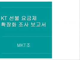 KT 선불 요금제 확장화 조사 보고서.PPT자료-1페이지