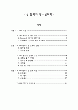 [우수레포트][청소년 복지] 청소년기의 성 심리, 청소년 성문제 실태, 원인, 청소년기 성문제 예방방안과 전망-1페이지