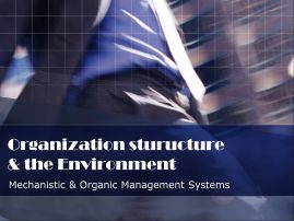 Organization sturucture & the Environment - Mechanistic & Organic Management Systems.PPT자료-1페이지