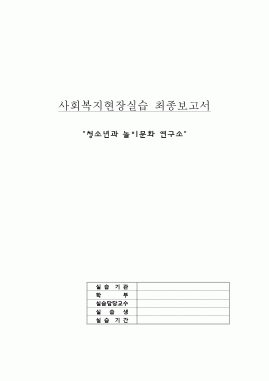 [사회복지현장 실습보고서] 청소년과 놀이문화 연구소 현장 실습 보고서 (기관소개, 사업소개, 감상 및 전망)(평가우수자료)-1페이지