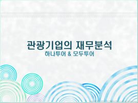 관광기업의재무분석,하나투어재무분석,모두투어재무분석,여행사재무분석,관광기업재무분석,재무분석사례-1페이지