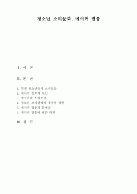 청소년 소비문화, 메이커 열풍  -1페이지