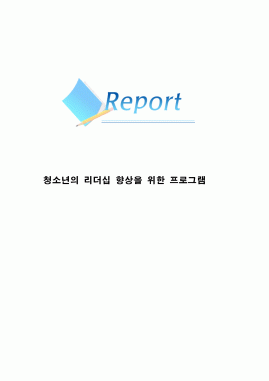 청소년의 리더십 향상을 위한 프로그램-1페이지