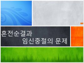 혼전순결과 임신중절의 문제 -1페이지