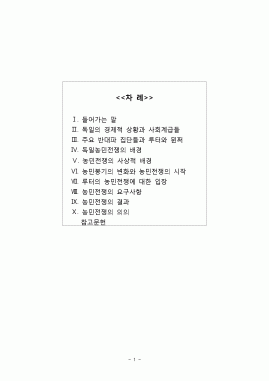 루터 보고서 - 독일 농민전쟁-1페이지