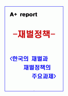 A+<한국의 재벌과 재벌정책의 주요과제> - 재벌정책- -1페이지