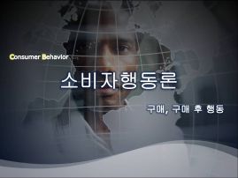 소비자구매행동,소비자구매후행동,구매후행동,구매후부조화,귀인이론,구매및구매후행동-1페이지