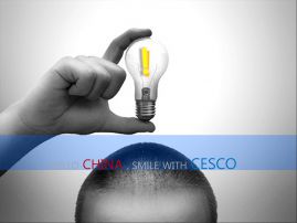 HELLO CHINA , SMILE WITH CESCO - 세스코마케팅전략,세스코기업분석,세스코중국진출,해충방제시장분석,중국해충방제시장.ppt-1페이지