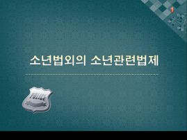 소년법외의 소년관련법제 - 보호소년,청소년보호법,청소년복지지원법,청소년성보호에관한법률,소년관련법제.PPT자료-1페이지