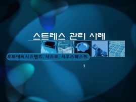 스트레스 관리사례,사우스웨스트,시스코,마케팅사례,마케팅,브랜드,브랜드마케팅,기업,서비스마케팅,글로벌,경영,시장,사례,swot,stp,4p.PPT자료-1페이지