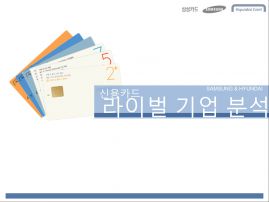 신용카드경쟁사례,현대카드경여전략사례,삼성카드마케팅사례,브랜드마케팅,서비스마케팅,글로벌경영,사례분석,swot,stp,4p-1페이지