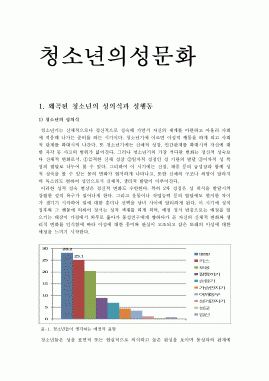 청소년복지복,청소년의성문화,성윤리,청소년문제,사회문제-1페이지