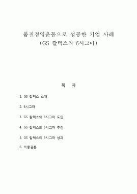 품질경영운동으로 성공한 기업 사례 - GS 칼텍스의 6시그마-1페이지