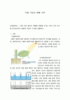 [생물학] 식물 기공의 개폐 기작-1페이지