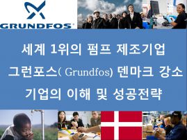 세계 1위의 펌프 제조기업 그런포스( Grundfos) 덴마크 강소기업의 이해 및 성공전략-1페이지